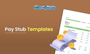 PayStub Generator, Check Stub Maker & Pay Stub Creator! FREE Preview - Mr Pay Stubs