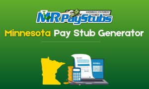 Minnesota Pay Stub Generator -FREE Preview - Mr Pay Stubs