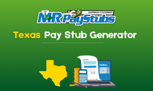 PayStub Generator - Generate Your PayStubs Instantly! FREE Preview