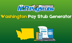 Washington Pay Stub Generator -FREE Preview - Mr Pay Stubs